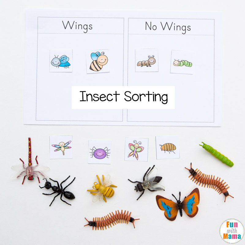 Preschool Insect Theme Sorting Worksheet Bug Activities Fun With Mama