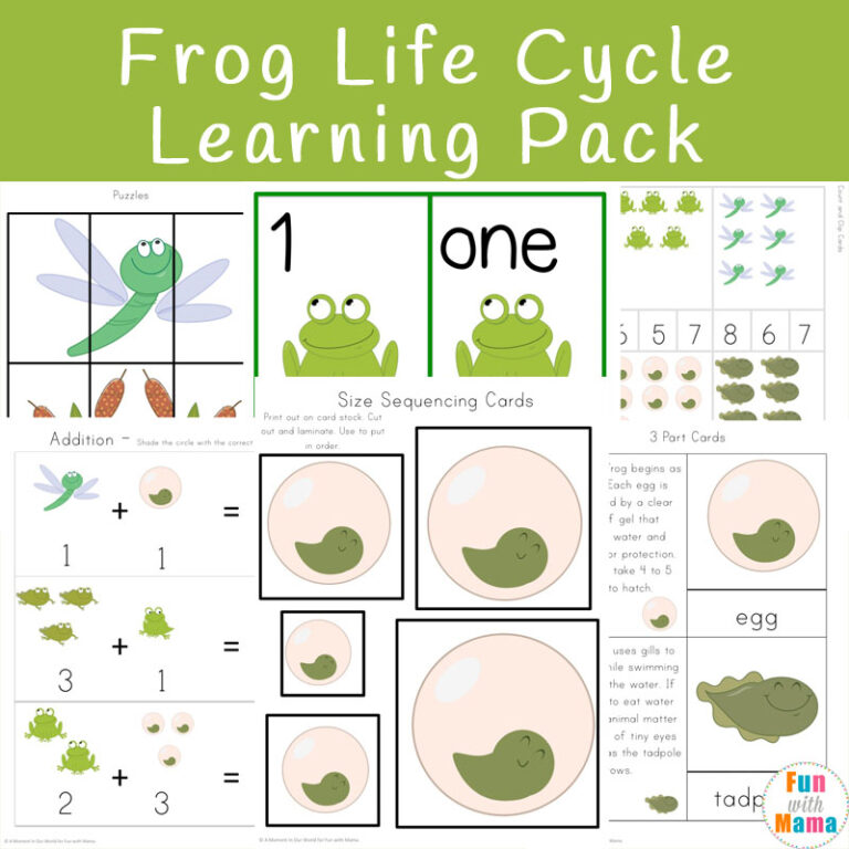Life Cycle Of A Frog For Kids - Fun with Mama