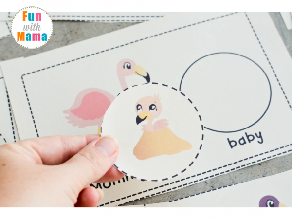 Flamingos Preschool Pack - Fun with Mama