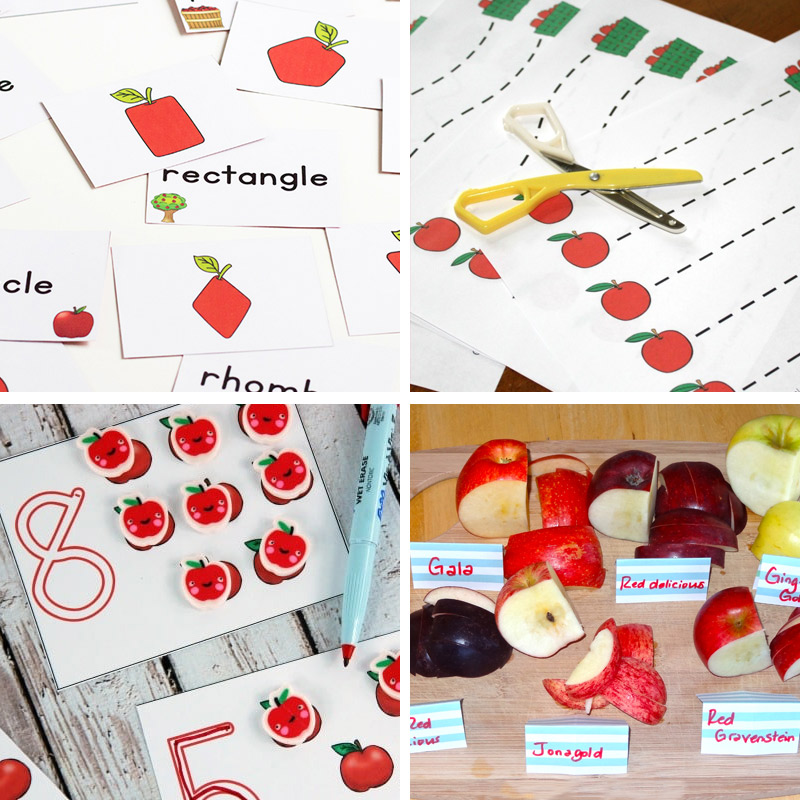 50 Fun Apple Activities For Preschoolers Kindergarten 50 Fun Apple Activities For Preschoolers Kindergarten