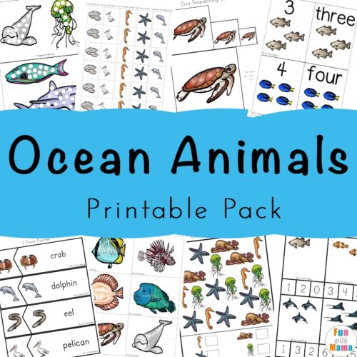 Ocean Bingo - Fun with Mama