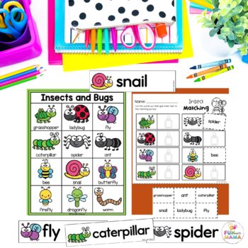 24+ Preschool Insect Activities and Worksheets - Fun with Mama