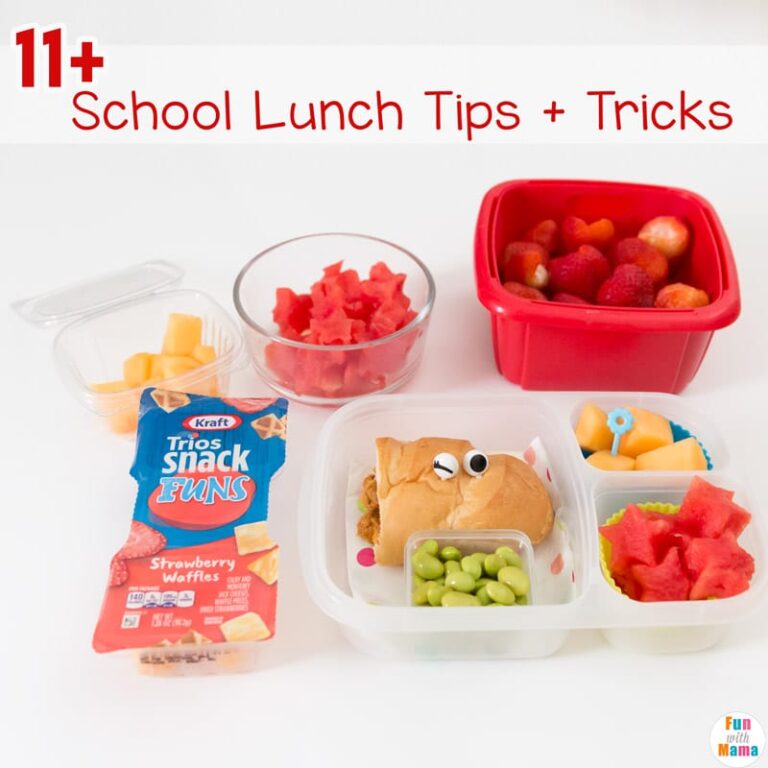 11+ School Lunch Ideas Tips, Tricks and Hacks! - Fun with Mama
