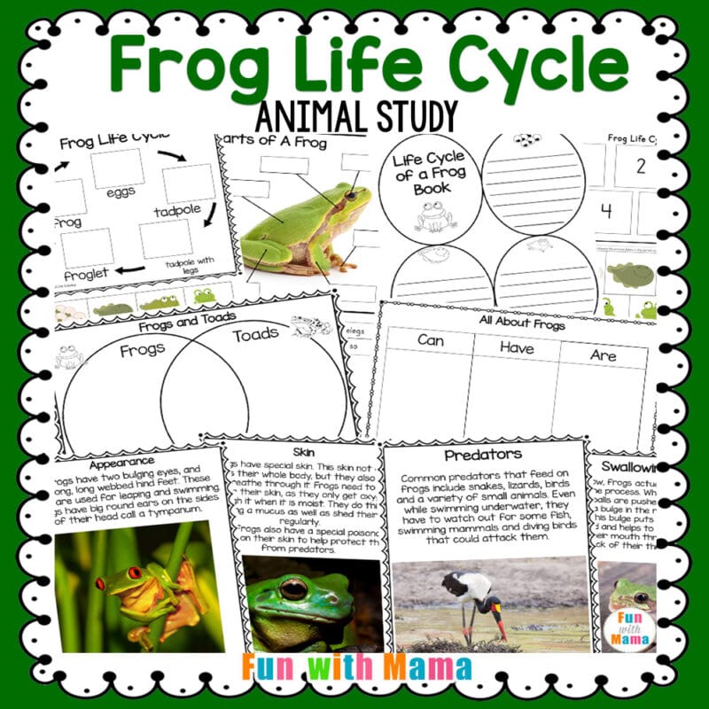 Kids Bible Study Frogs Lifecycle Expansion - Educational Images | Picstank