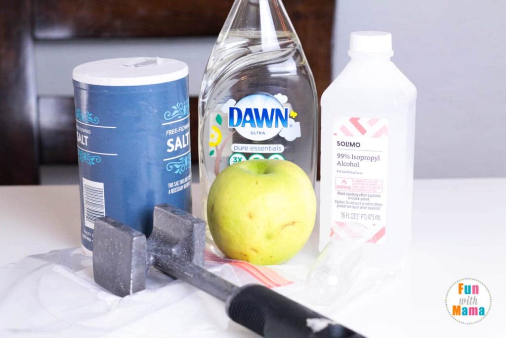 Fruit DNA Extraction Lab Science Experiment - Fun with Mama