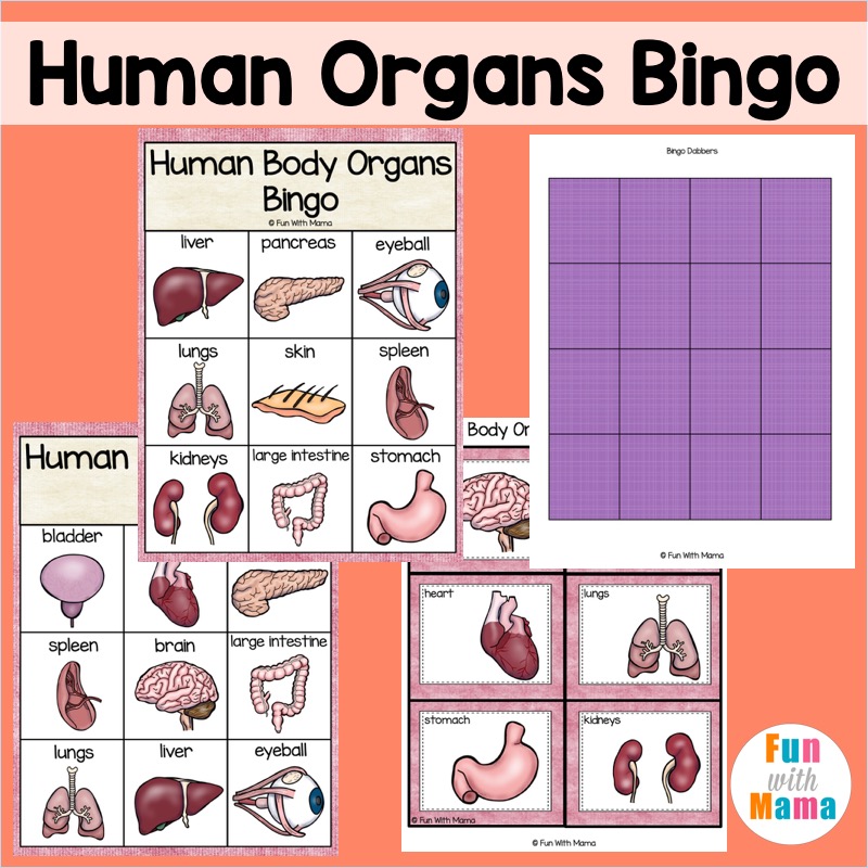 Body parts bingo🆑 Descubra o fascinante mundo de melhor casino Body parts bingo🆑 Descubra o fascinante mundo de melhor casino