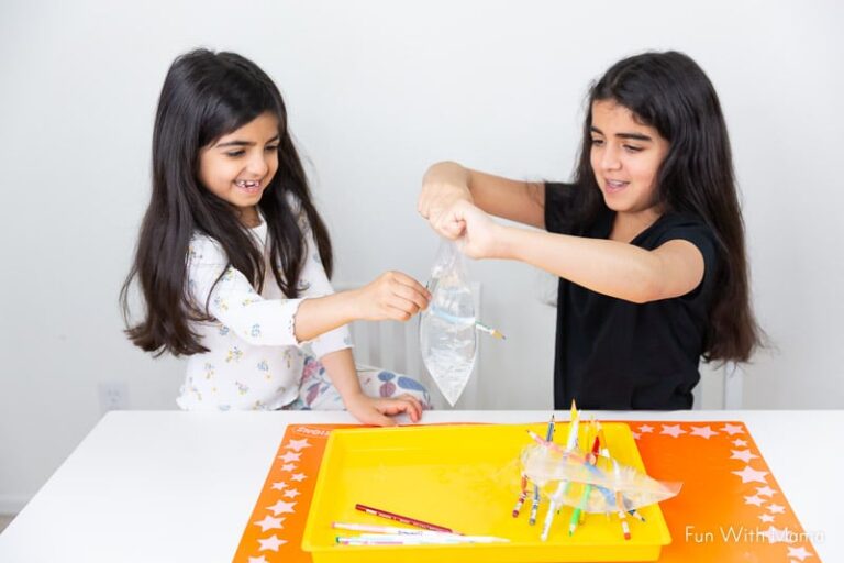 Water In A Bag Pencil Experiment - Water Experiment for Kids - Fun with ...