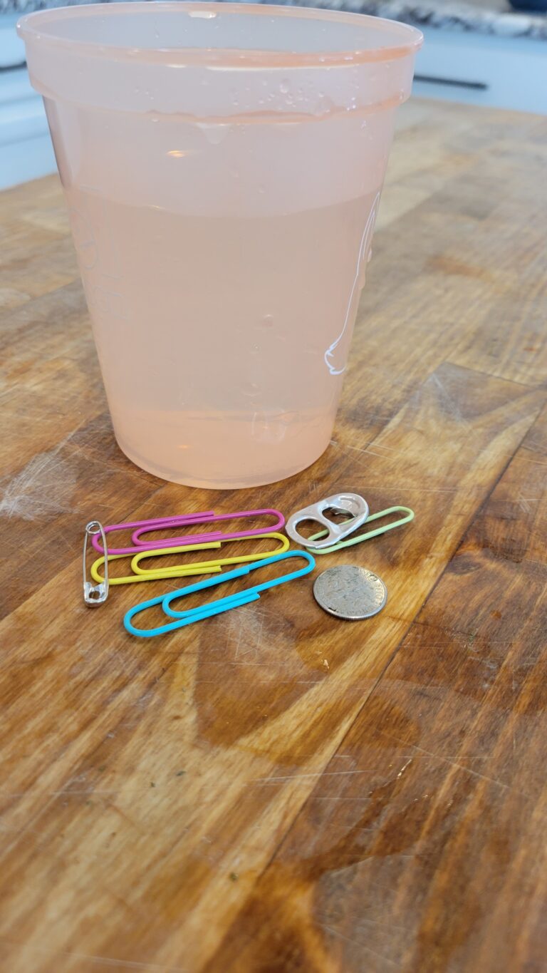 5-Minute Paper Clip Surface Tension Experiment - Fun with Mama