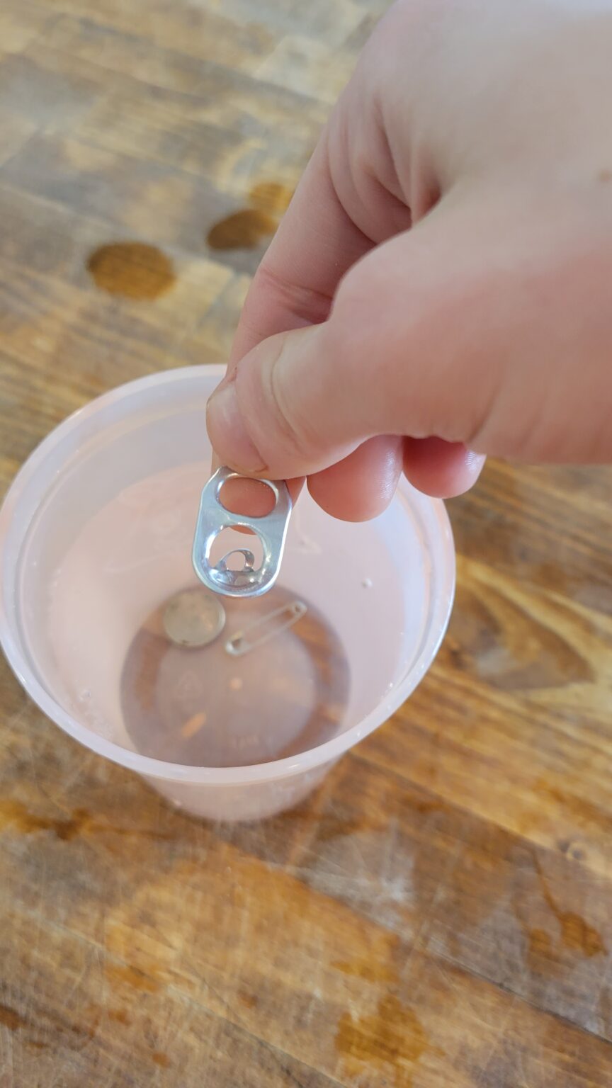 5-Minute Paper Clip Surface Tension Experiment - Fun with Mama