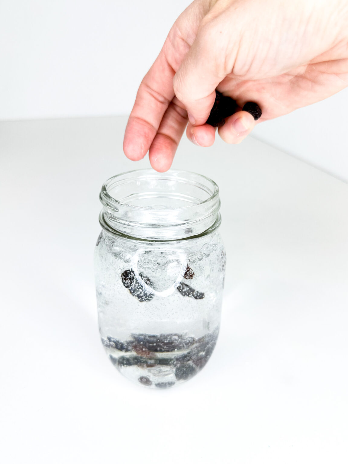Dancing Raisins Experiment- Fun Science for Kids! + PRINTABLE