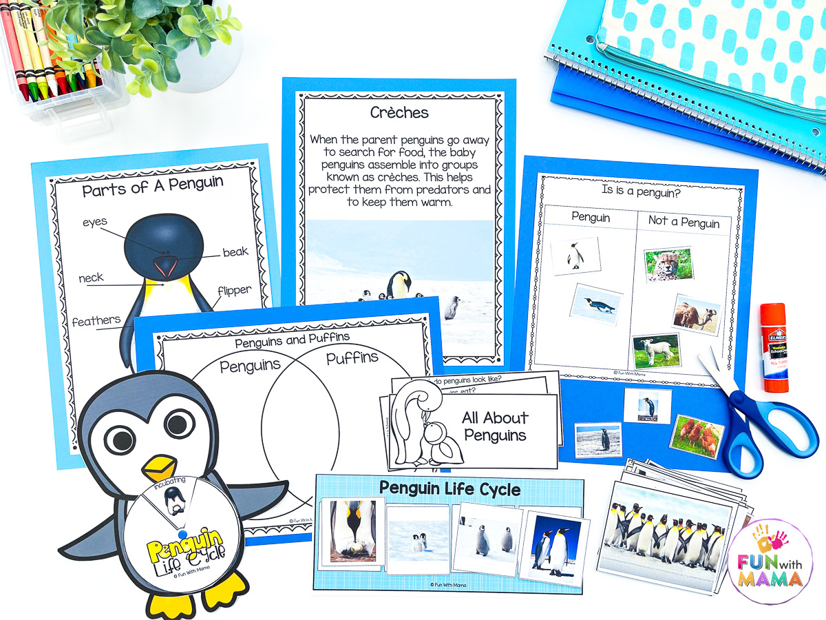 Penguin Life Cycle - Fun with Mama