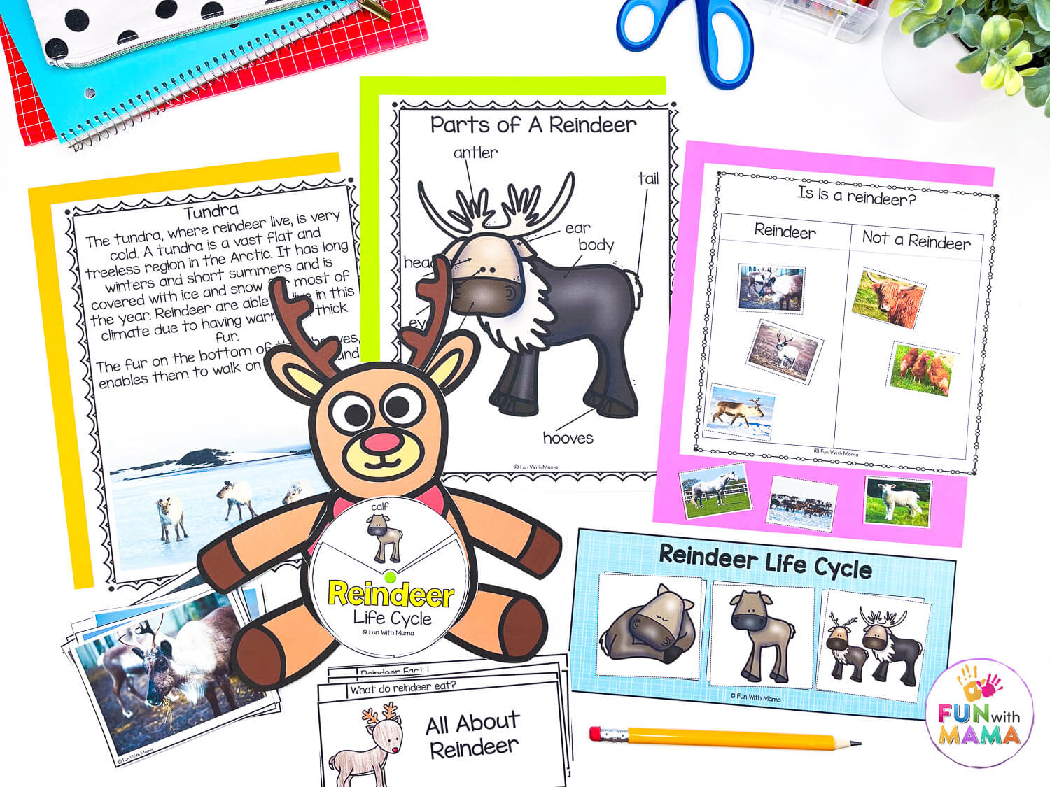 Caribou Animal Facts + Reindeer Life Cycle - Fun with Mama