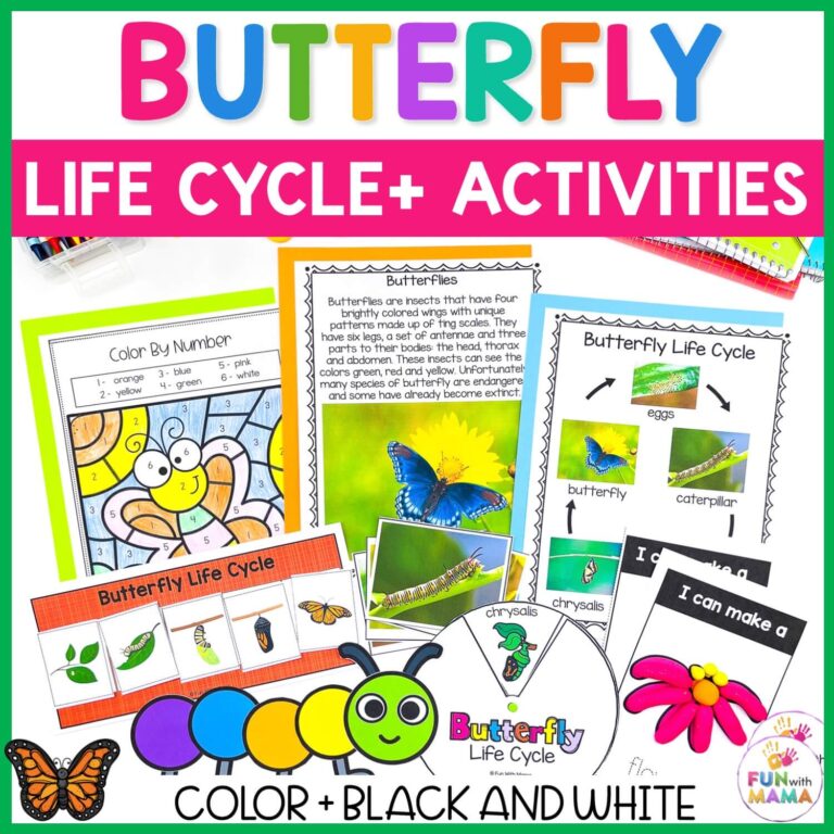 Life Cycle of a Butterfly Printable Pack - Fun with Mama