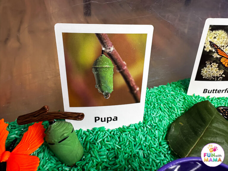 Butterfly Sensory Bin: A Spring Activity for Kids - Fun with Mama