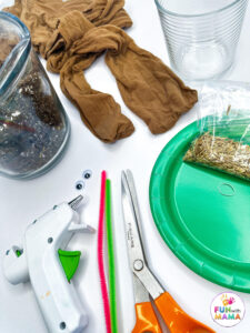 Silly Science - Growing Grass Heads In A Cup - Fun with Mama