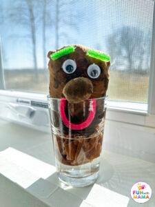 Silly Science - Growing Grass Heads In A Cup - Fun with Mama