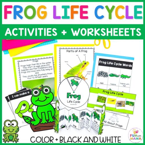 Frog Life Cycle Printables - Fun with Mama