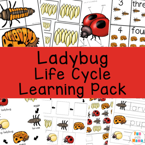 Ladybug Shape Matching Mats - Shapes for Preschool and Early Learners ...
